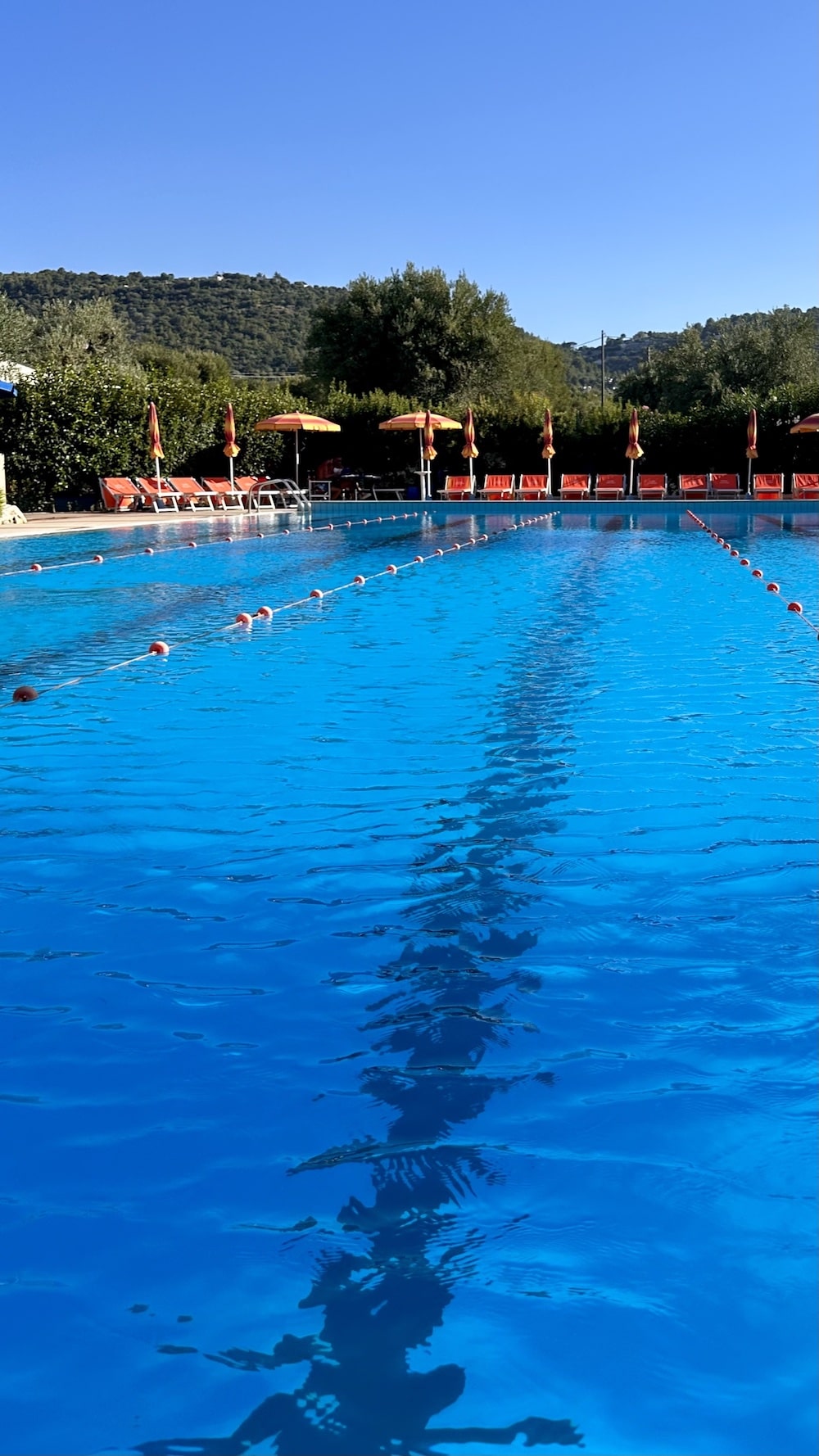 Afternoon at the pool - Alchimiacollection | EN